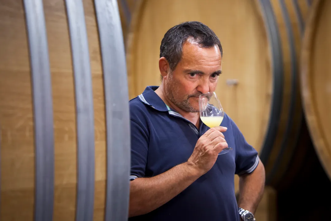 Yves Cuilleron - St Joseph Rouge 'Cavanos' VV - Serendipity Wines